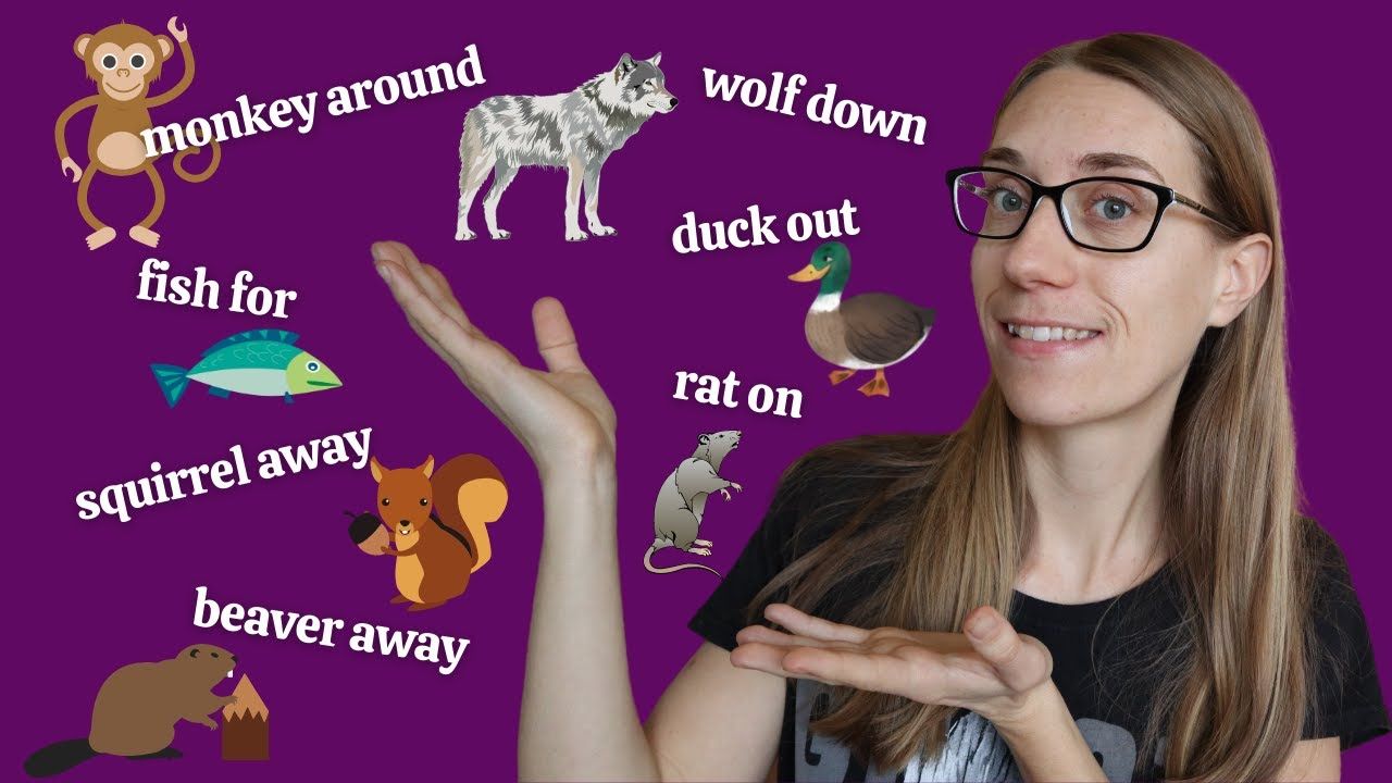 Frázová slovesa v angličtině se zvířaty | Anglicky s Markét | Stream